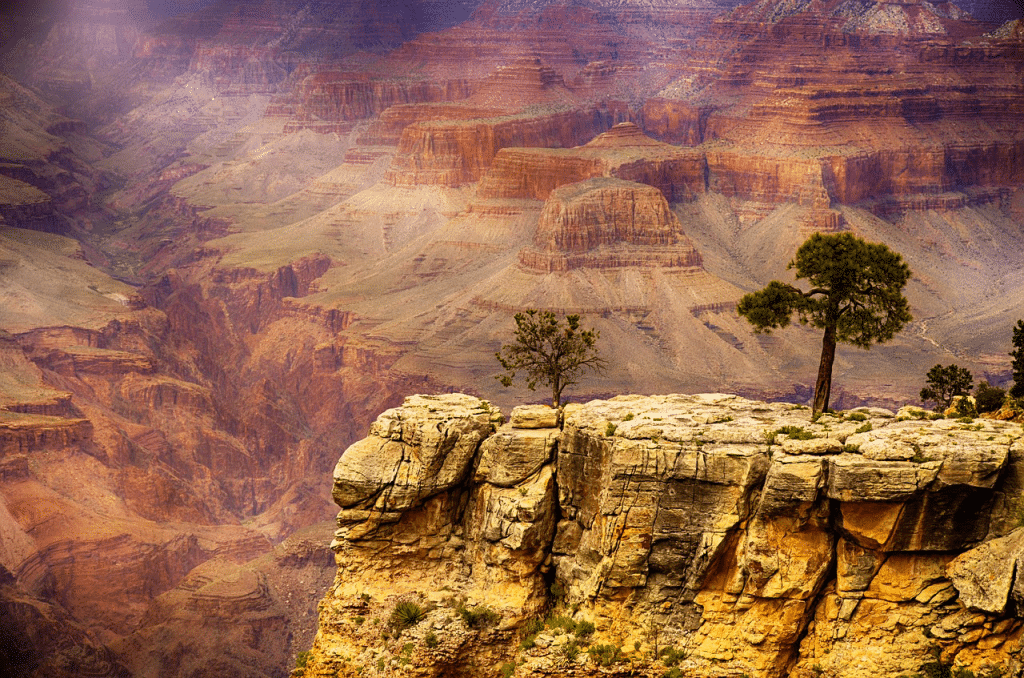 Grand Canyon in one day: visit the South Rim - Travelling Dany