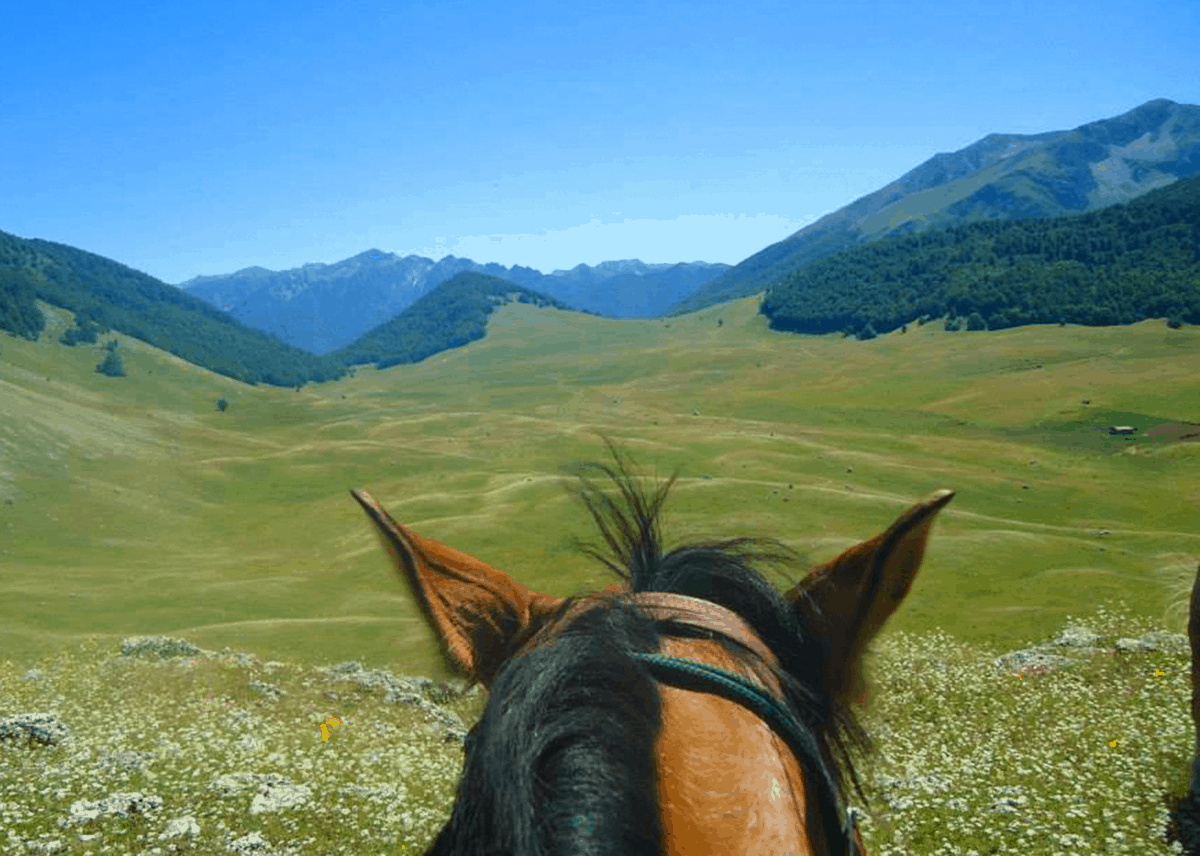 The Gustav Line on horseback in Italy - Travelling Dany
