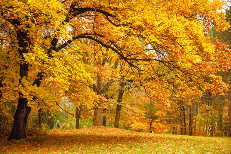 Le città europee più belle: tutte le mete per ottobre - Travelling Dany Le città europee più belle: tutte le mete per ottobre - Travelling Dany